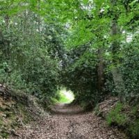 Project presentation – Long Version – Forest Of Kent
